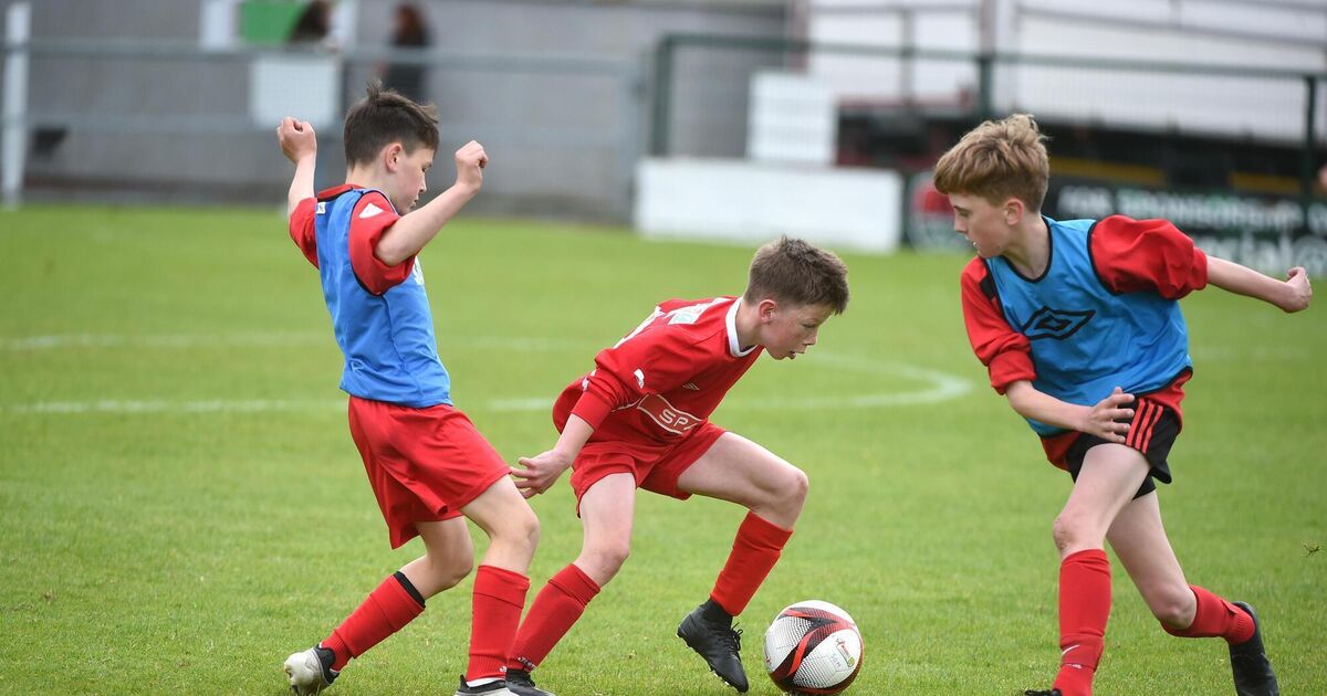Primary Schools soccer competition is a pathway to playing at the Aviva