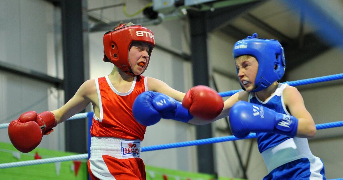 City Hall to host international boxing tournaments in 2020