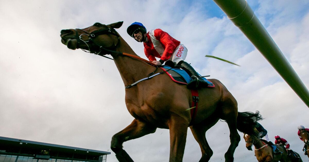 The Jane Mangan column: Festival at Leopardstown will banish the winter ...