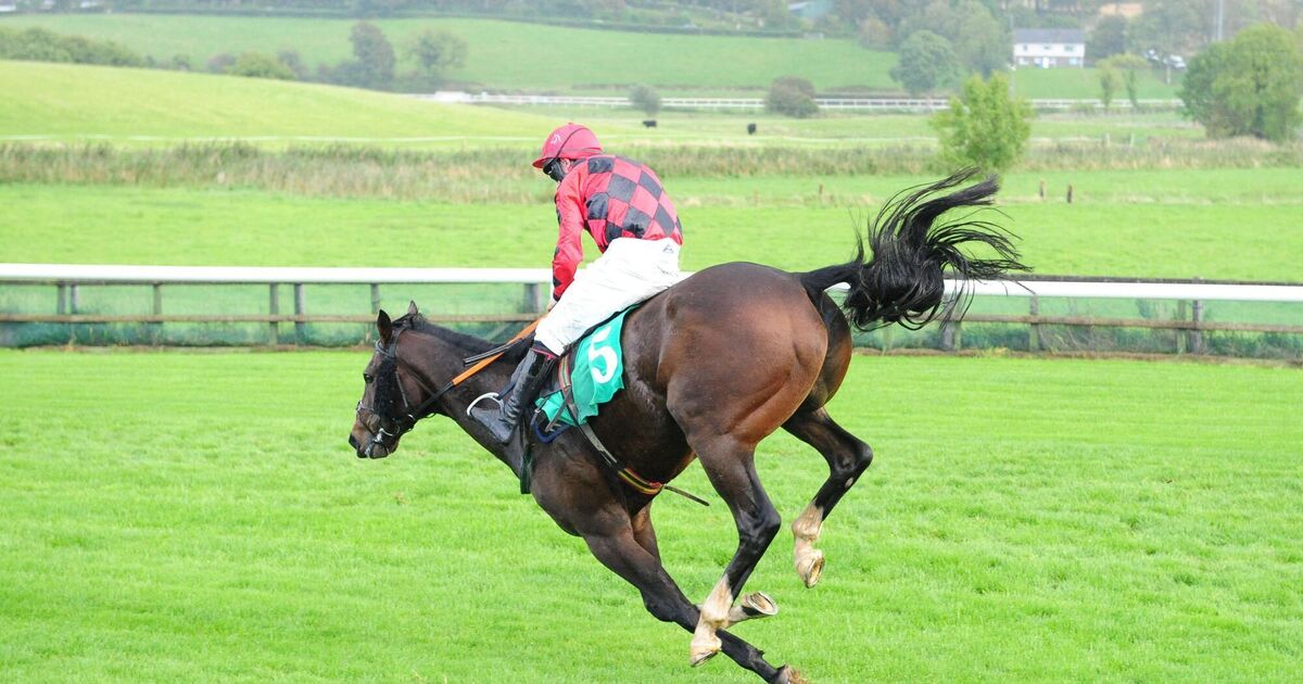 Bandon trainer James Dullea's horses are thriving in the heavy conditions