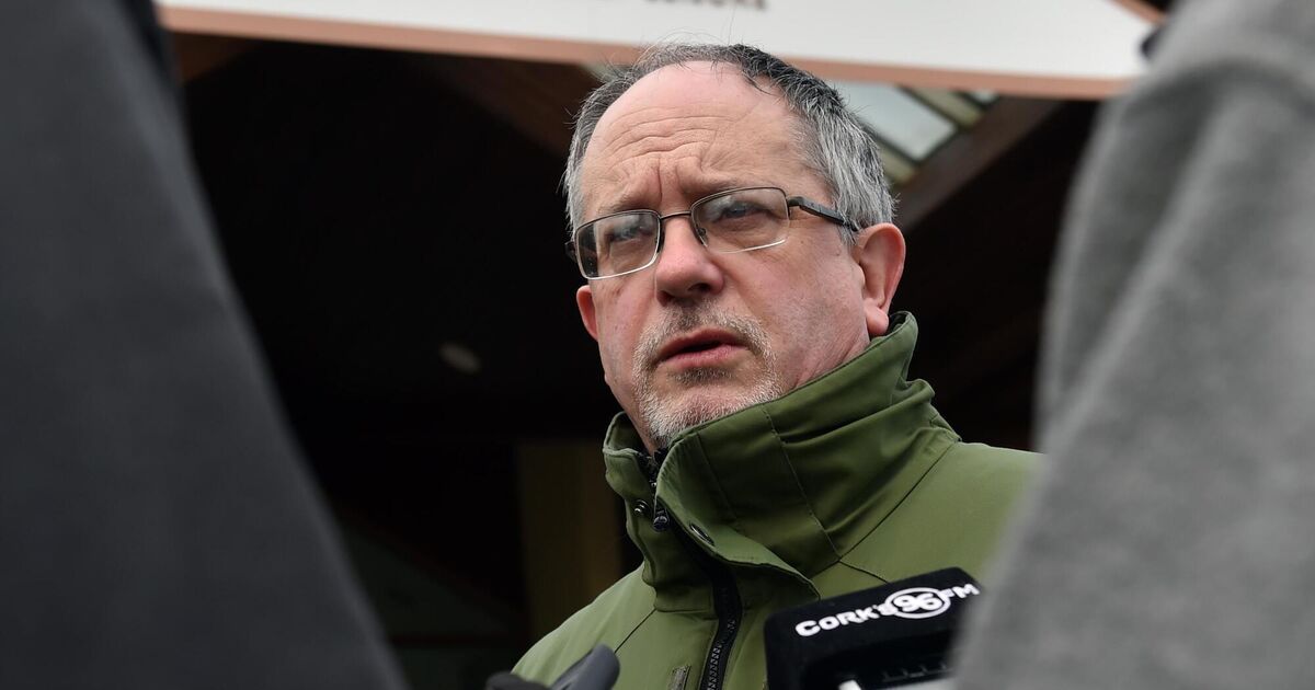 Cork general election predictions: North-Central will have all-new TDs ...