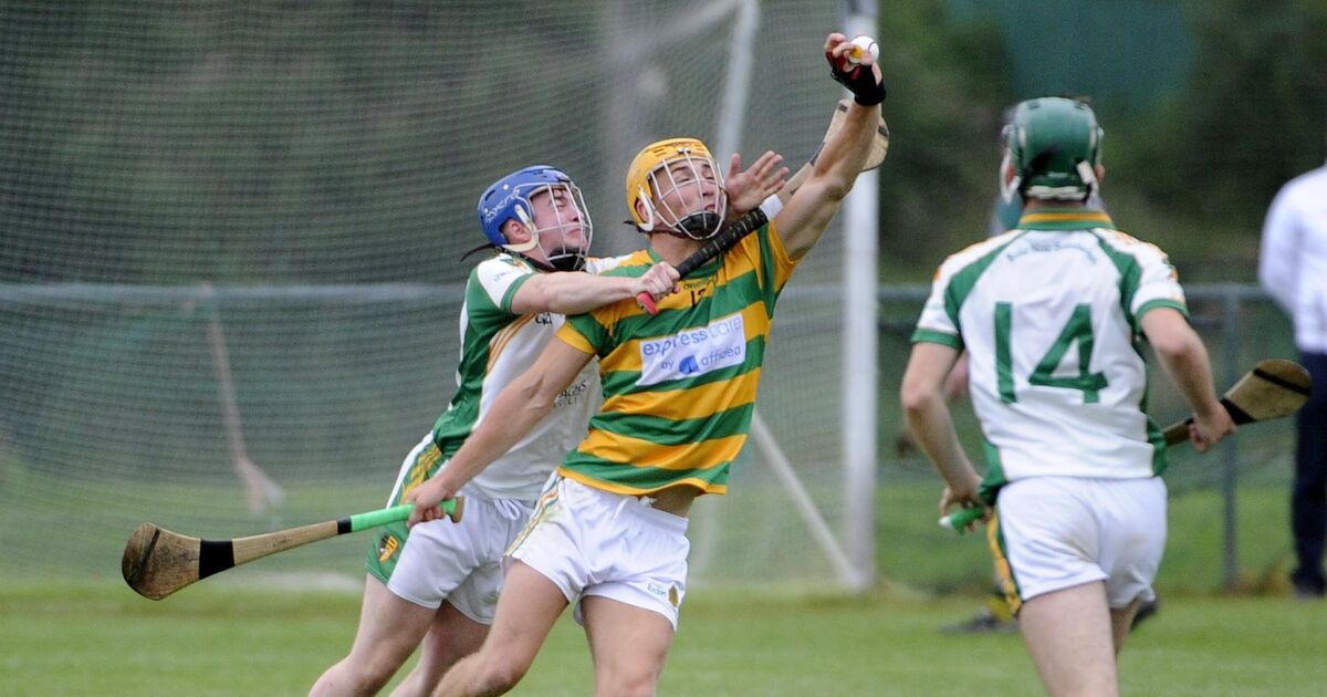 New format for club GAA in Cork guarantees us a few hurling classics