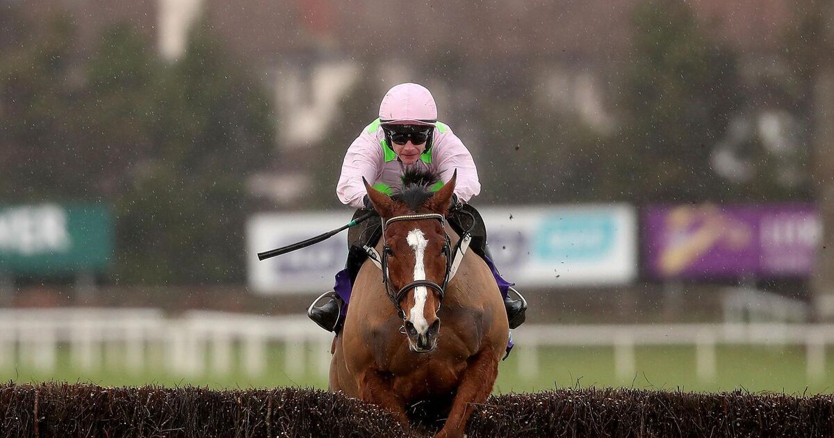 The Jane Mangan column: Dublin Racing Festival showcased the best of ...