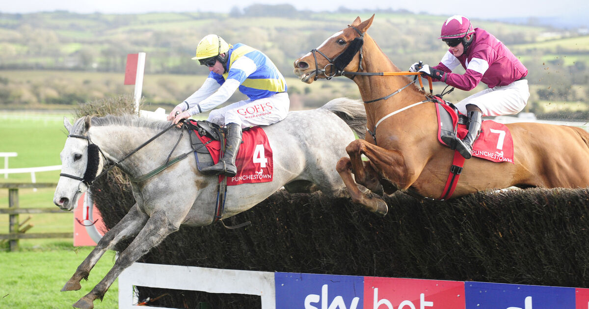 Bandon trainer James Dullea strikes gold with Rocky’s Silver