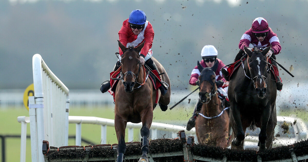 Cork racing news: Success for Davy Russell, James Dullea and Paul Townend