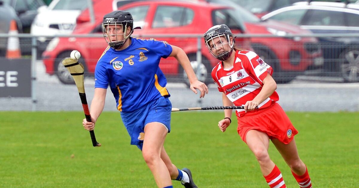 Barrs demolished Courcey Rovers to reach camogie semi-final