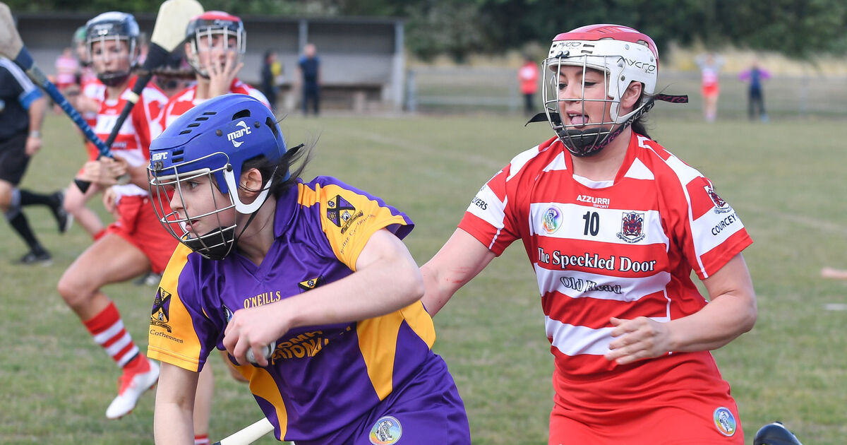 Experienced O’Neill is excited for the future of Courcey Rovers camogie