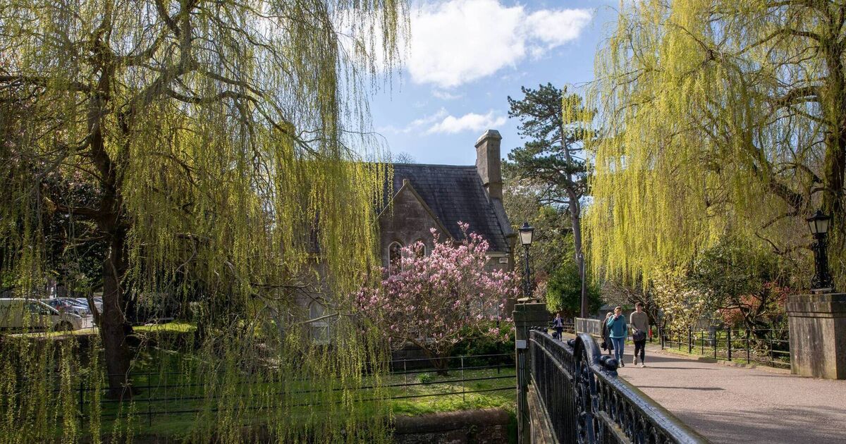 The Cork public are offered a tour of UCC's historic trees