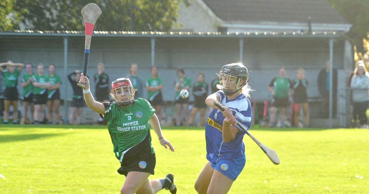 Camogie champs Inniscarra survive semi-final scare from Killeagh