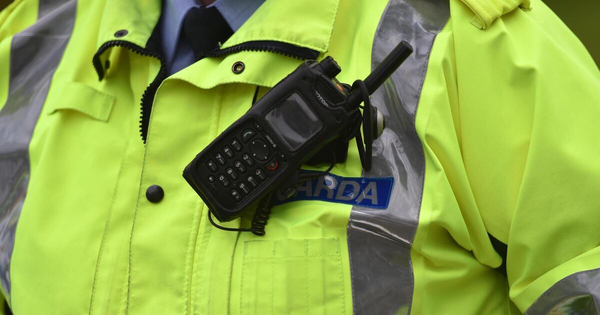 Man fails with appeal on conviction for calling a Garda a 'rat' and a ...