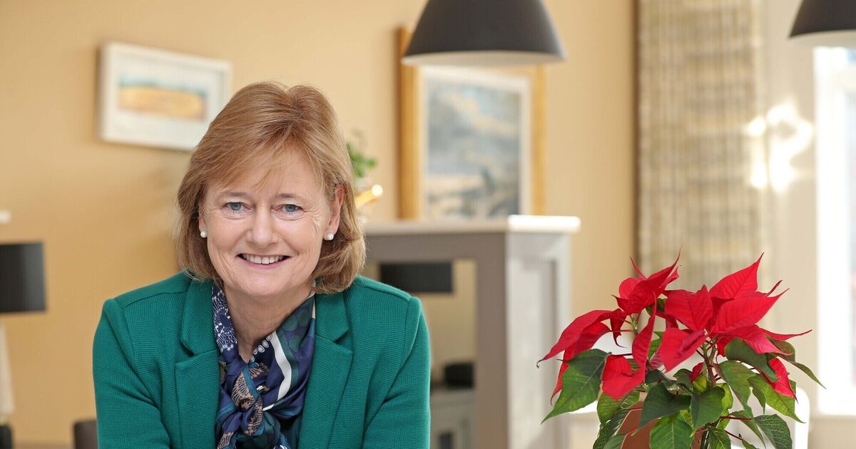 MEP Deirdre Clune is ‘left in limbo’ amid Brexit delays