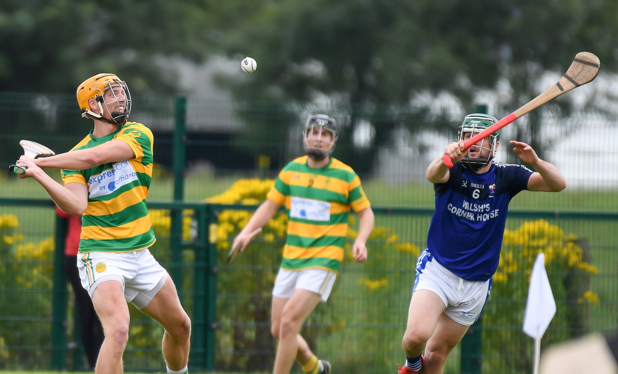 Blackrock hurling is on a high after capturing two league titles