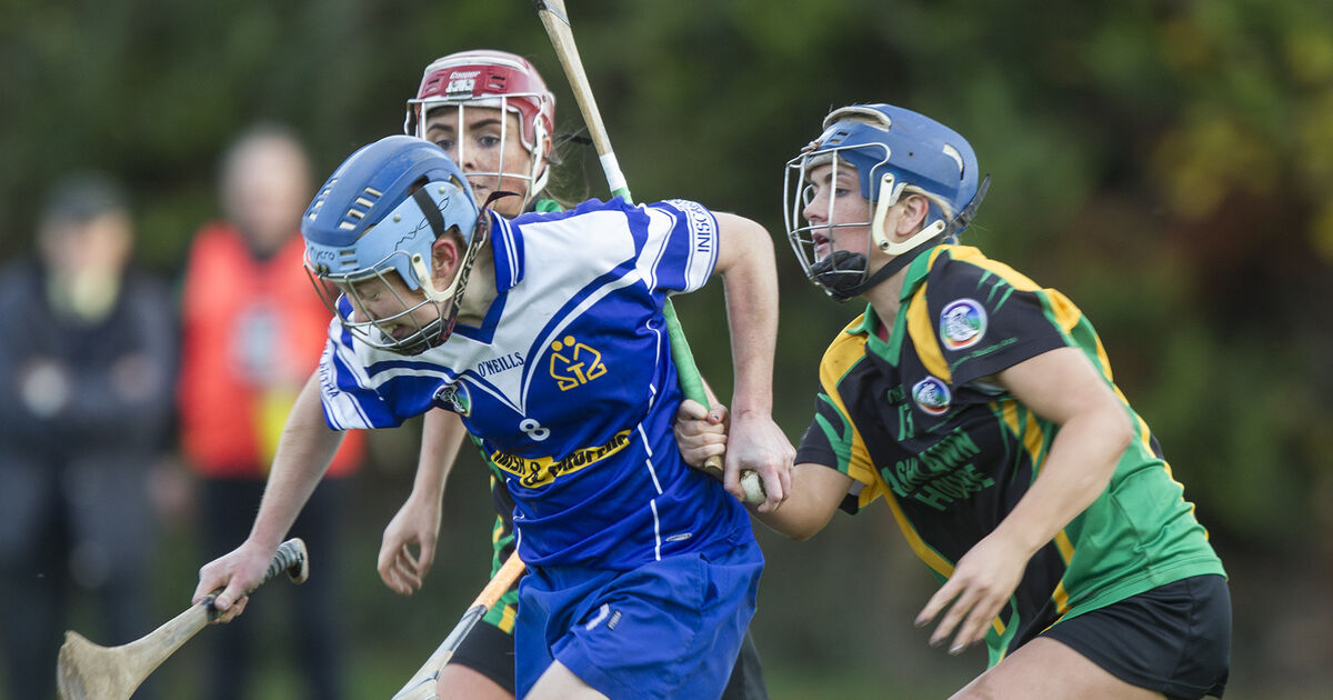 Camogie champions Inniscarra have too much for Éire Óg in Muskerry derby