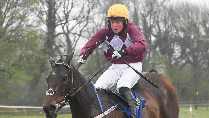 The Jane Mangan column: Get ready for a feast of racing at Fairyhouse ...