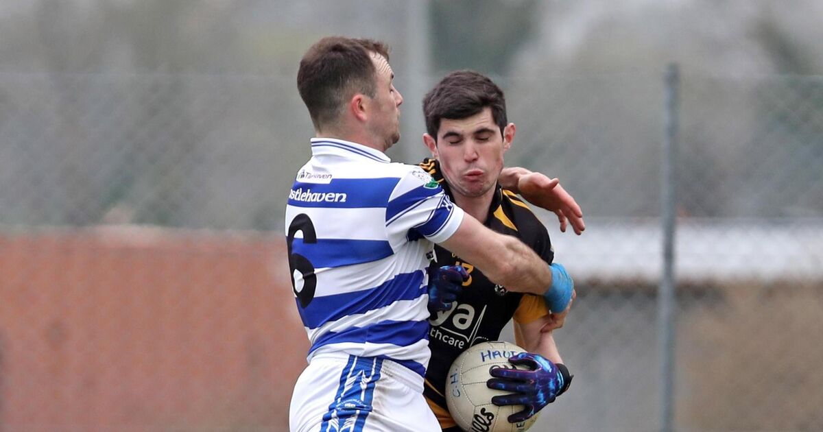 After stunning the Haven, Fermoy's next mission is to retain their ...