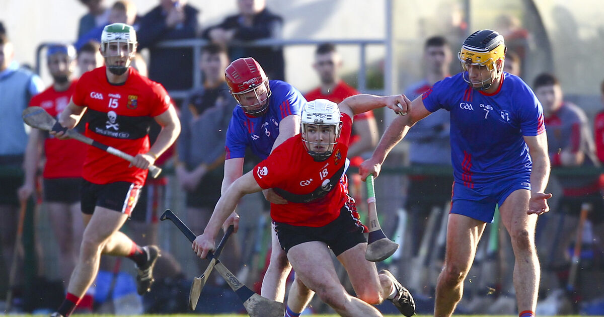 Cork's new wave of hurling stars needed the boost the Fitzgibbon Cup ...