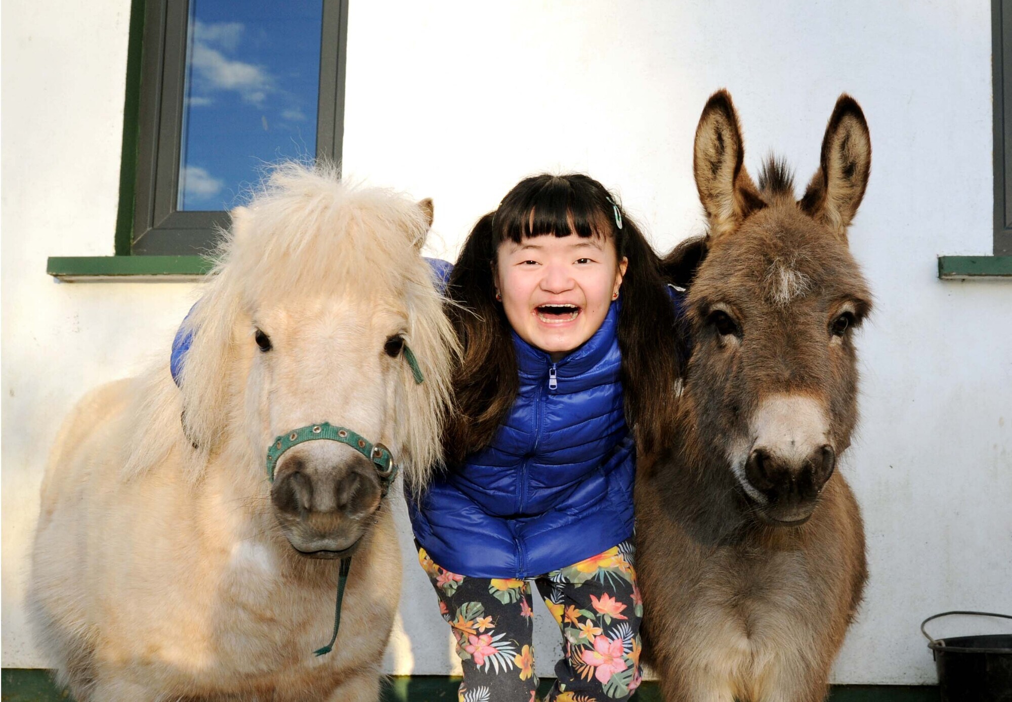 Video: We visit The Care Farm - a place for children to thrive