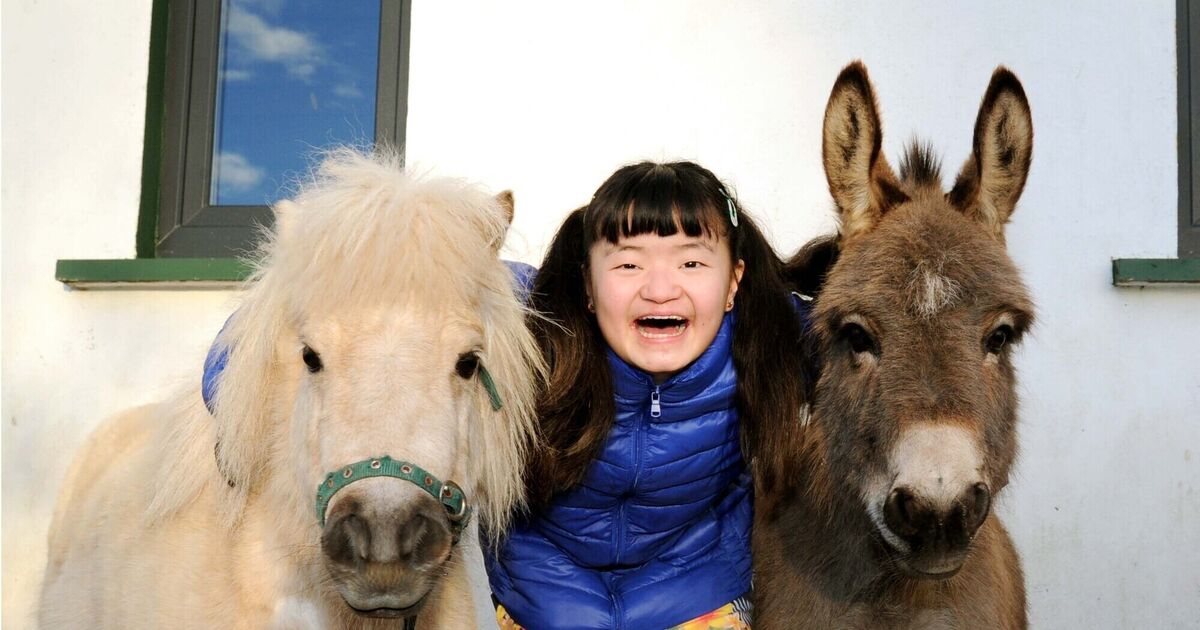 Video: We visit The Care Farm - a place for children to thrive