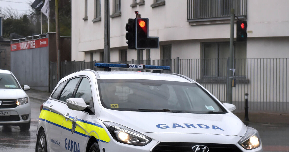 Over 10% of city garda vehicles at least 10 years old