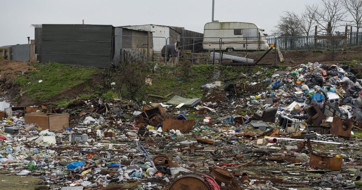 Overcrowding at Spring Lane halting site ‘could lead to a disaster’