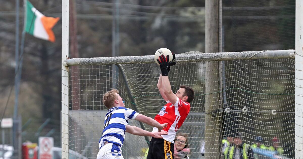 Fermoy create a major shock against Castlehaven thanks to Morrison's goal