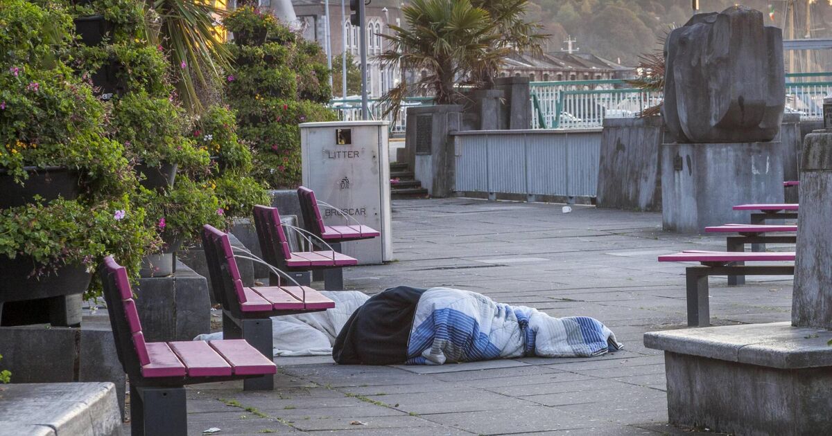 Homeless services creaking at the seams as Cork Simon warns: 'it cannot ...