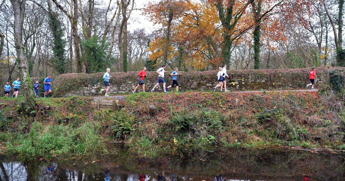 Mallow 5km park run is a runner