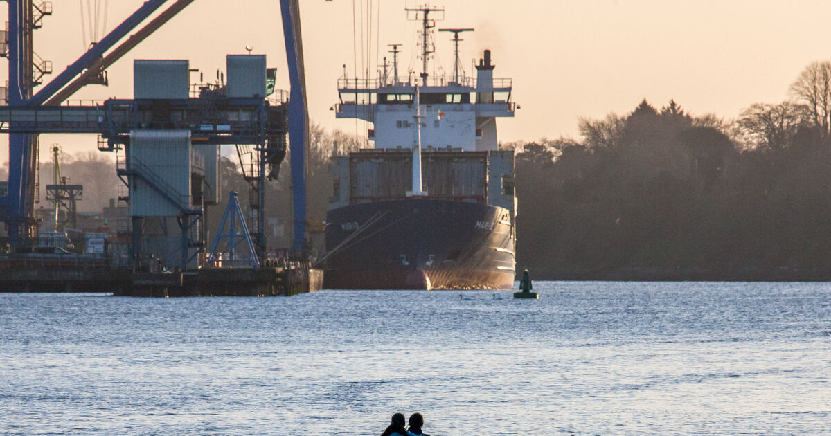 Imports and exports through Cork increase ahead of Brexit