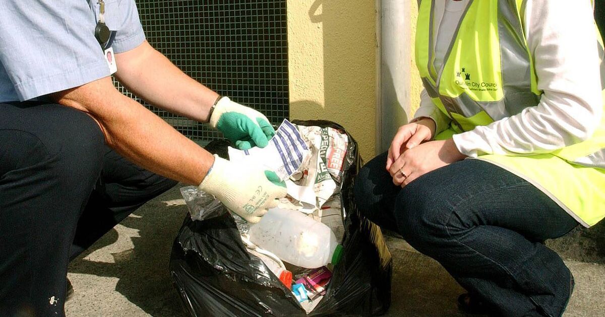 Cork city has just one litter warden