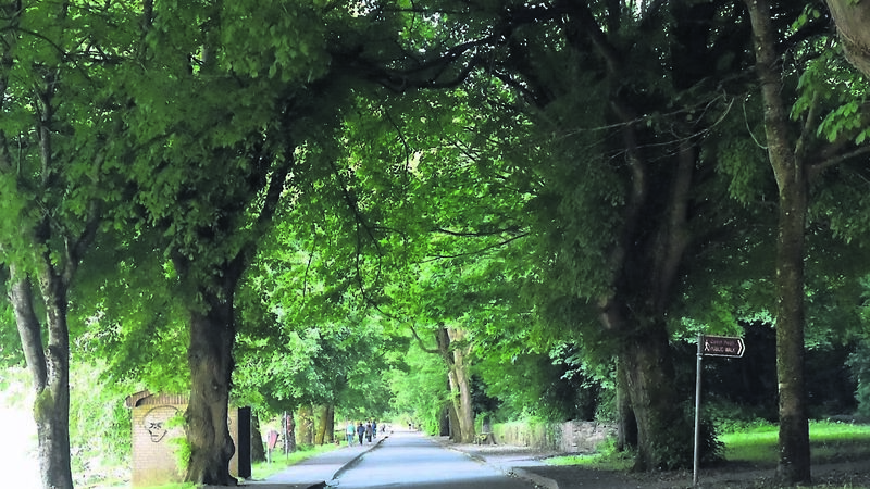 Cork cyclists call for a greenway from Inniscarra Dam to Crosshaven