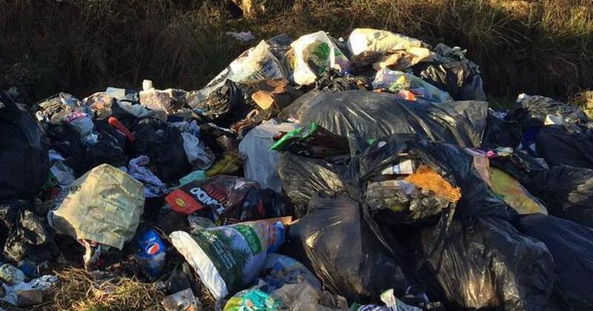 Dumping issue sees rats as ‘big as cats’ lurking around Farranferris Avenue