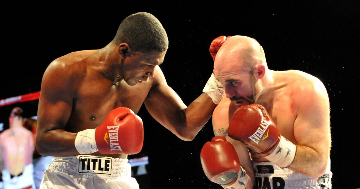 Rebel boxer Spike is ready for Action