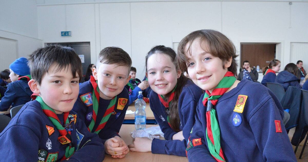 Cork Scouts: Blarney Beaver Scouts' good deed