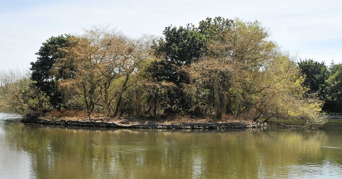 Study to examine dying foliage at Atlantic Pond