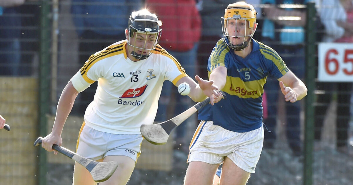 Bandon hurling panel ‘developing very nicely’