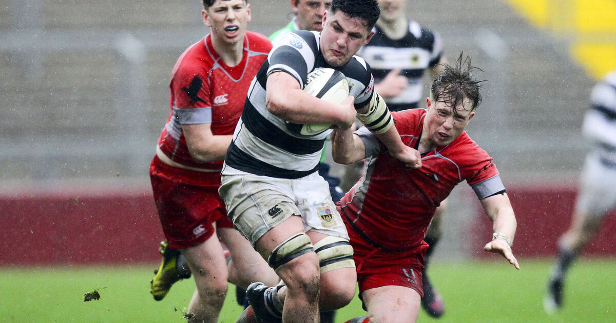 Six Cork players selected in Irish rugby squad