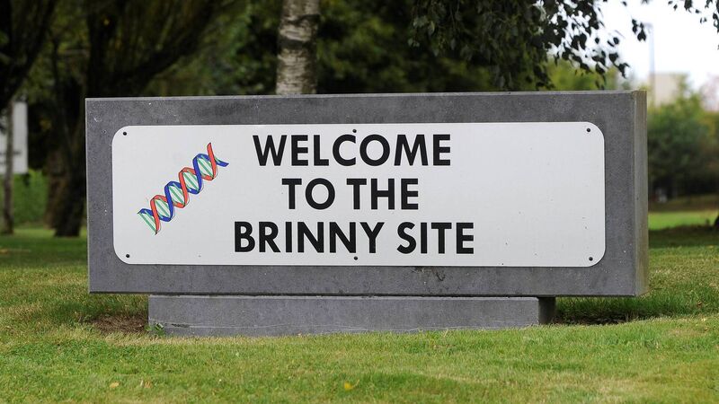 Cork gets 210 jobs through MSD Brinny expansion
