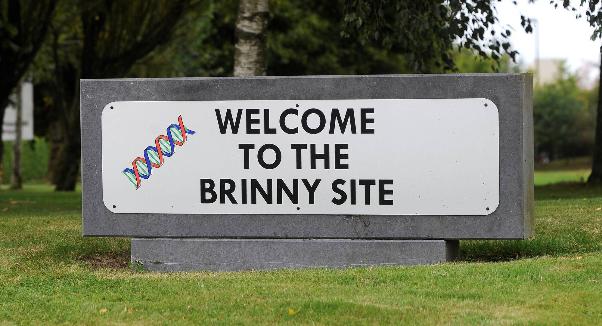 Cork gets 210 jobs through MSD Brinny expansion