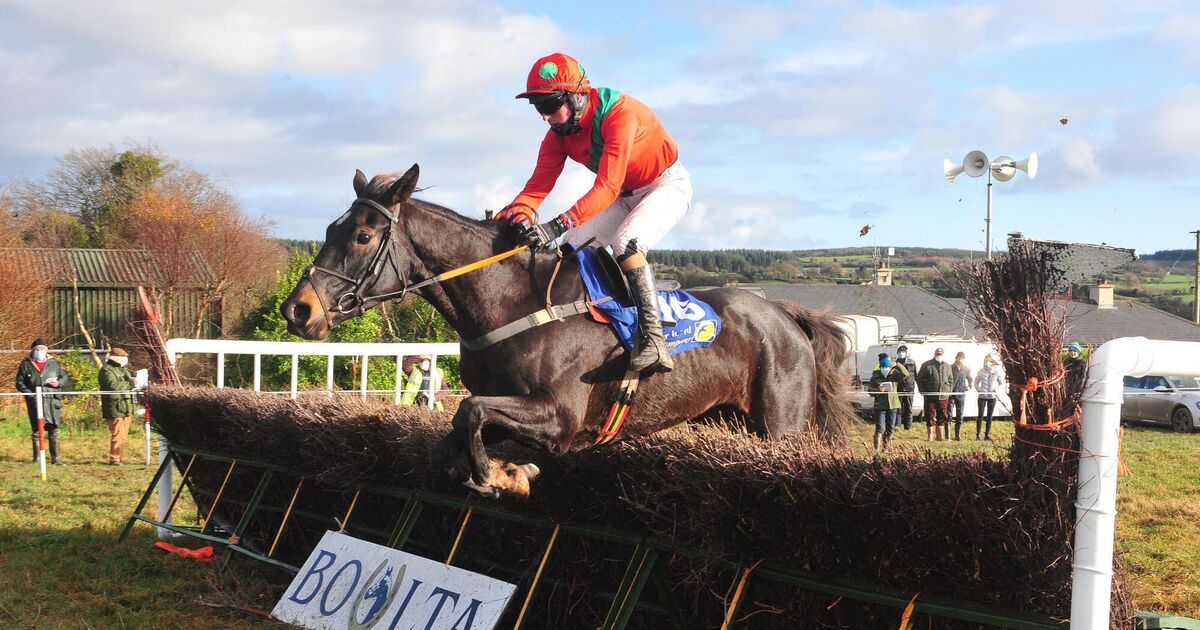 Cork Racing: Terence O'Brien's stable continues to impress