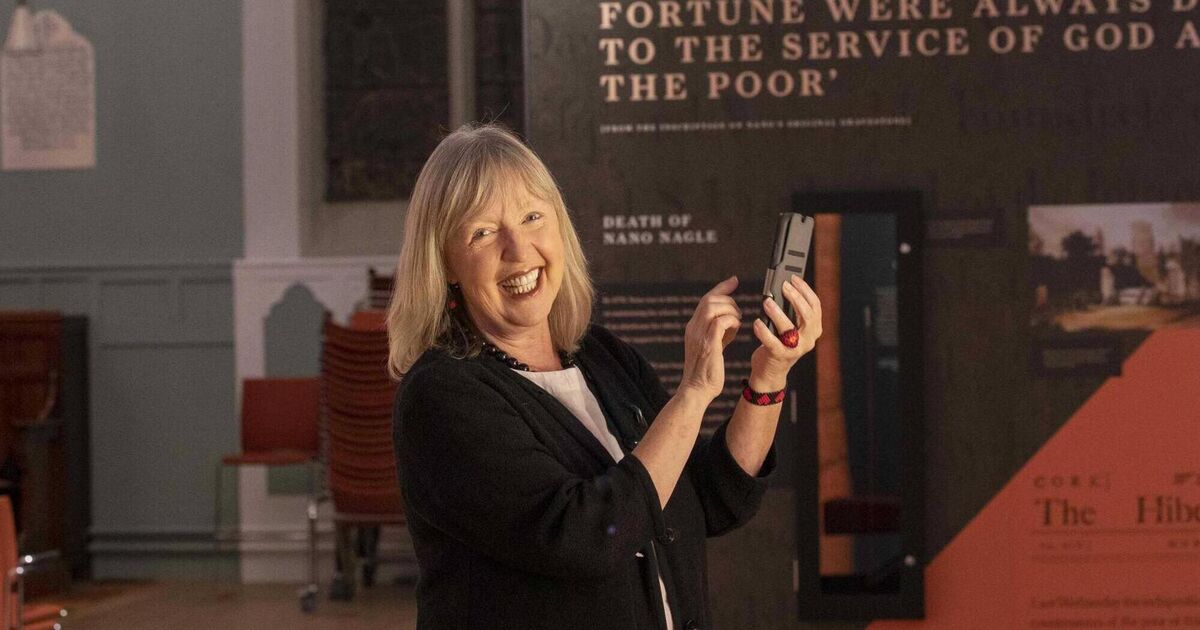 Cork software firm teams up with cultural spaces to offer virtual tours