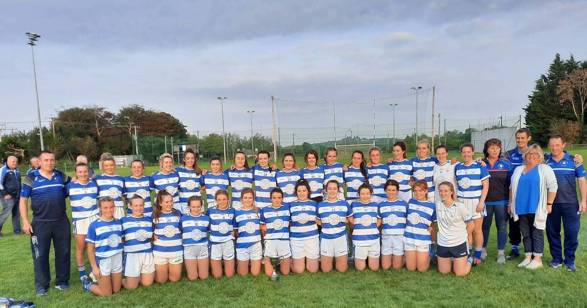 GAA season in review: Castlehaven ready for step up to LGFA junior ranks