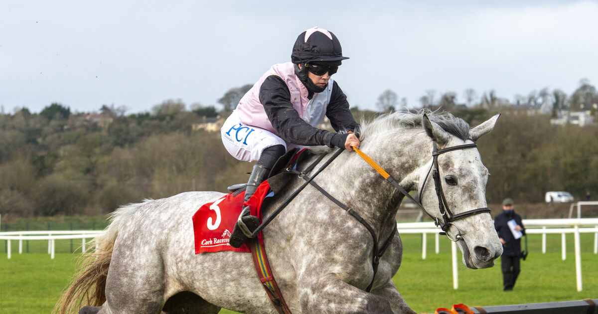 Jane Mangan column: Bob Olinger hard to beat