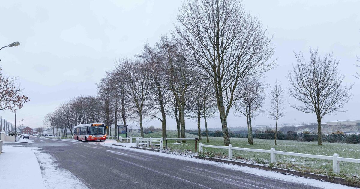 Cork weather: Forecaster warns severe cold snap could return later this ...