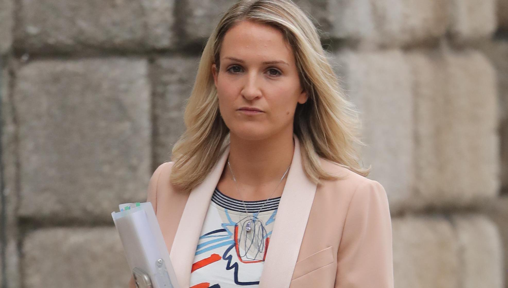 Cork TD says commencement of Coco's Law is a positive 'first step' in ...