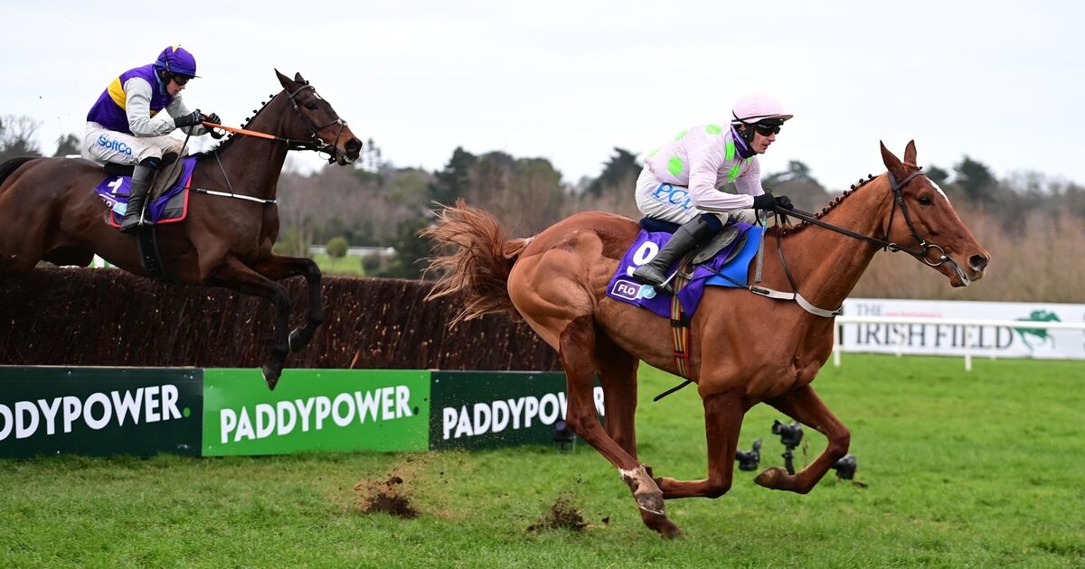 The Jane Mangan column: Key horses showed their class at Leopardstown