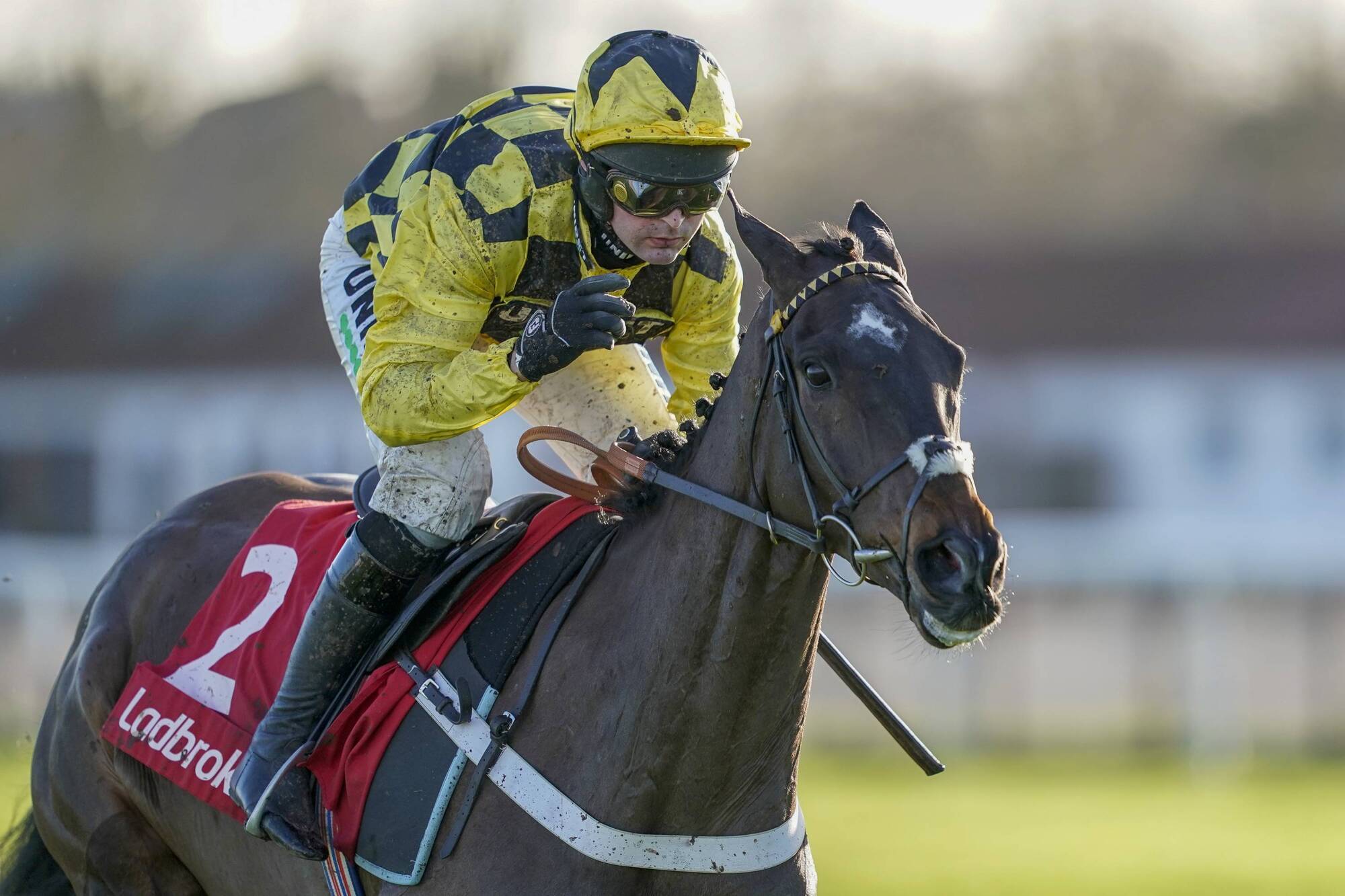 Jane Mangan asks the key questions a month out from Cheltenham