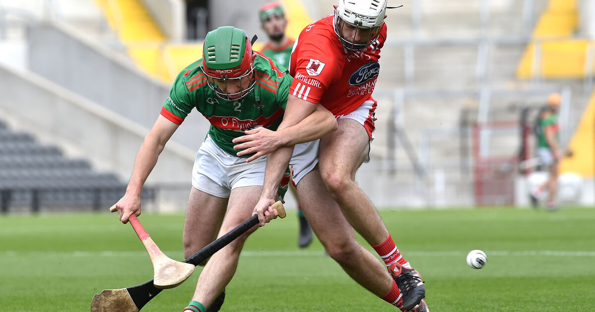 Club Players Association struck right note to influence major GAA change