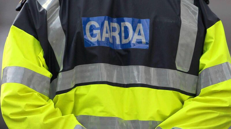 'I am a pacifist', says Cork man after it took six guards to arrest him