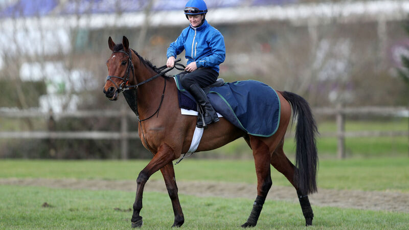 Jane Mangan marks your card for Wednesday's racing at Cheltenham