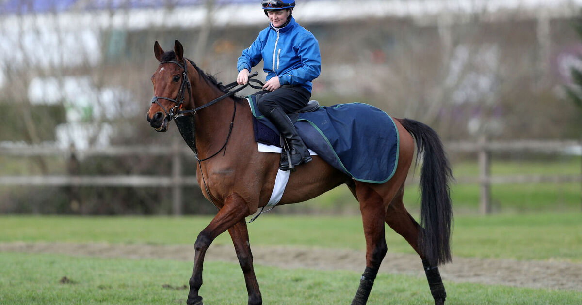 Jane Mangan marks your card for Wednesday's racing at Cheltenham